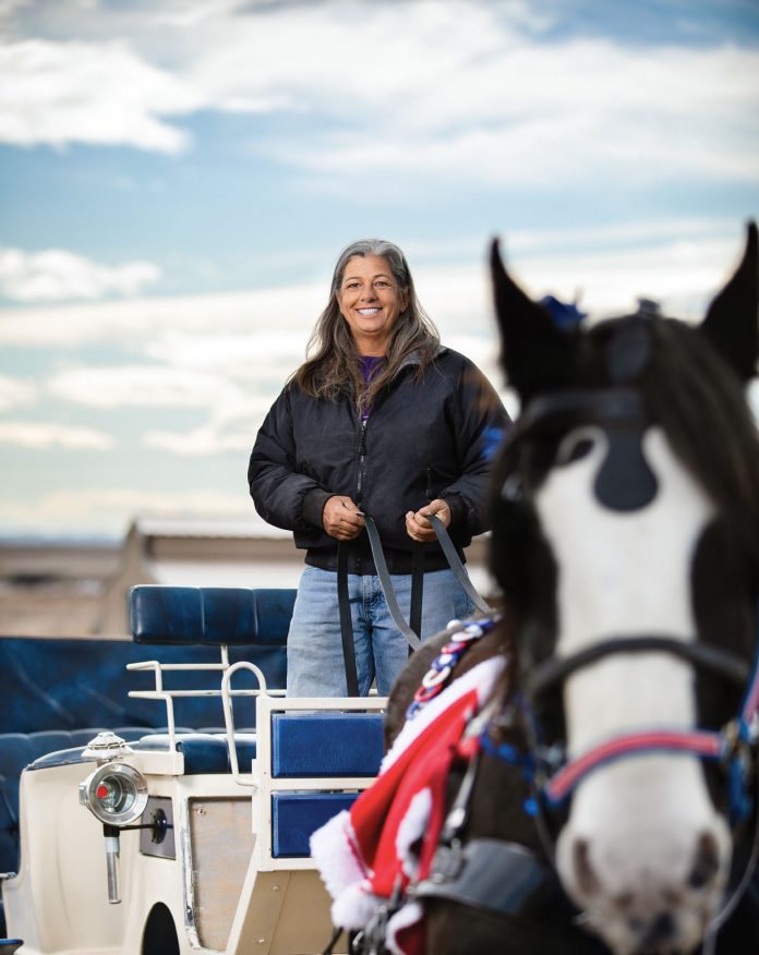 On the Job: Carriage Driver