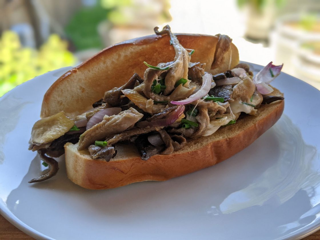 Booms Mushrooms: Medicinal and Magical