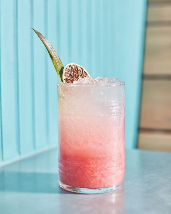 Bang Up To The Elephant!'s Hibiscus Punch Fizzy Recipe