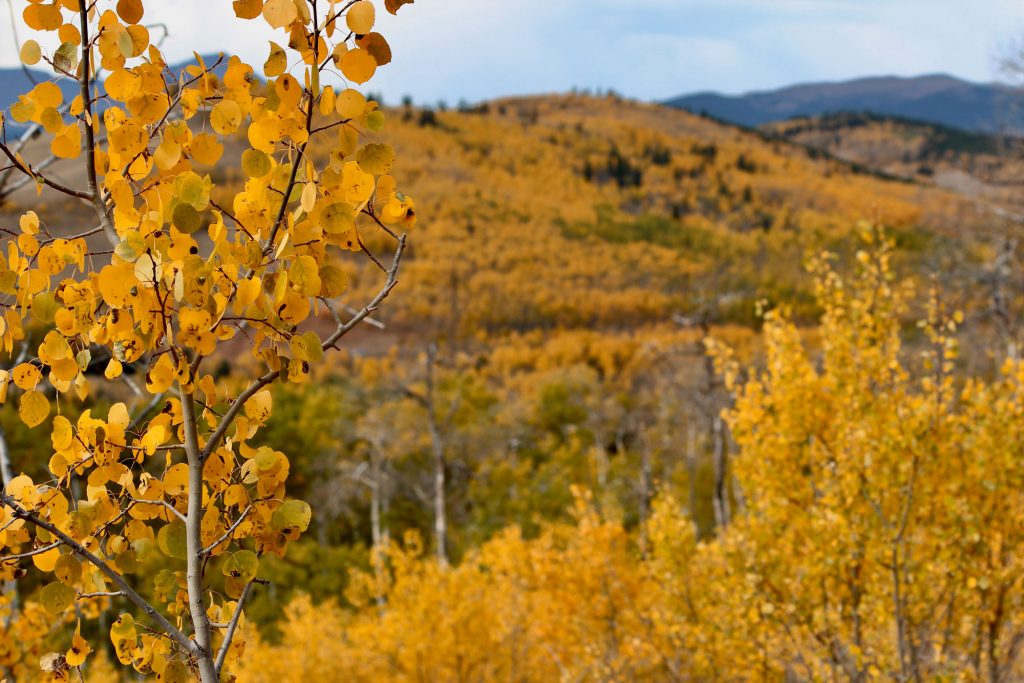 3 Places to Hike for Fall Colors