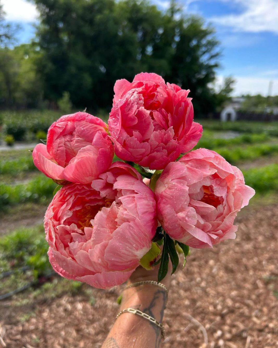 Cultivate More Than Flowers at Half Moon Farm