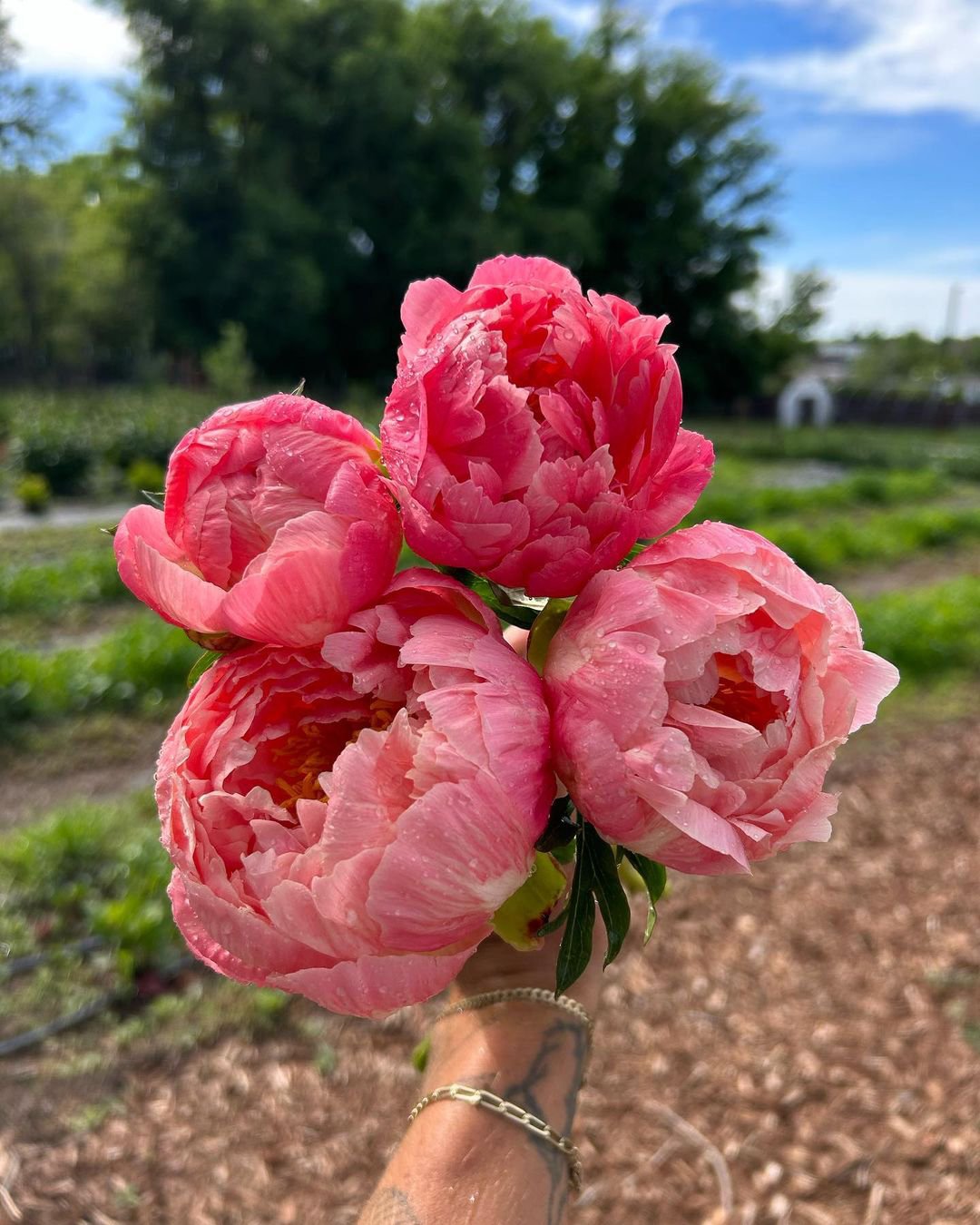 Cultivate More Than Flowers at Half Moon Farm