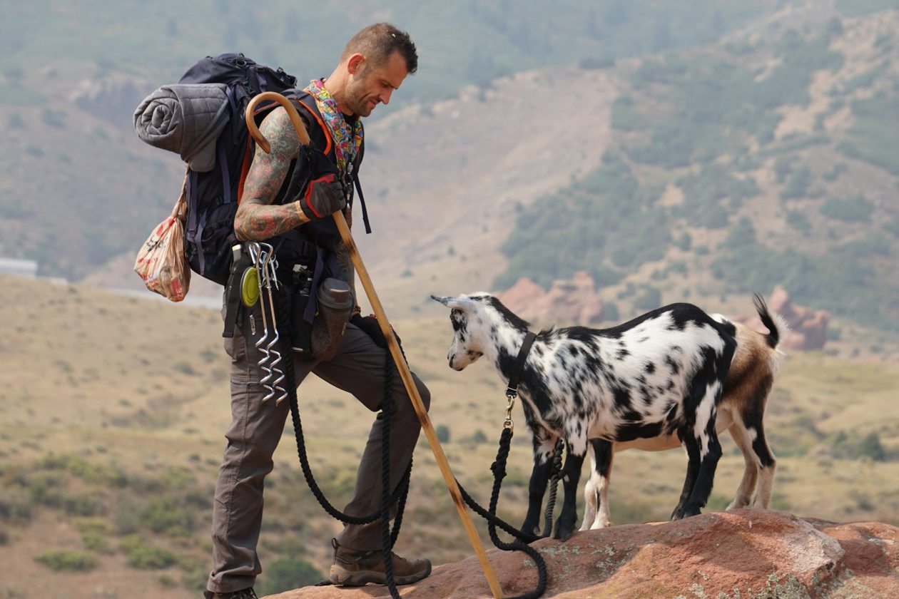 The Healing Power of Goat Walkabouts