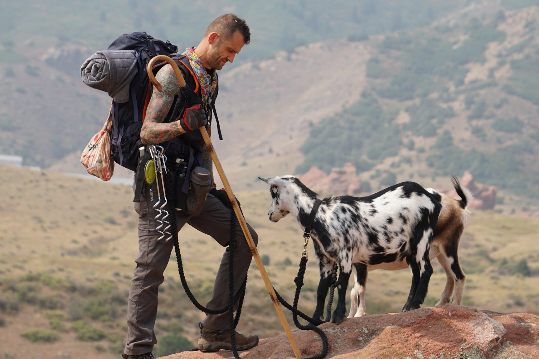 The Healing Power of Goat Walkabouts