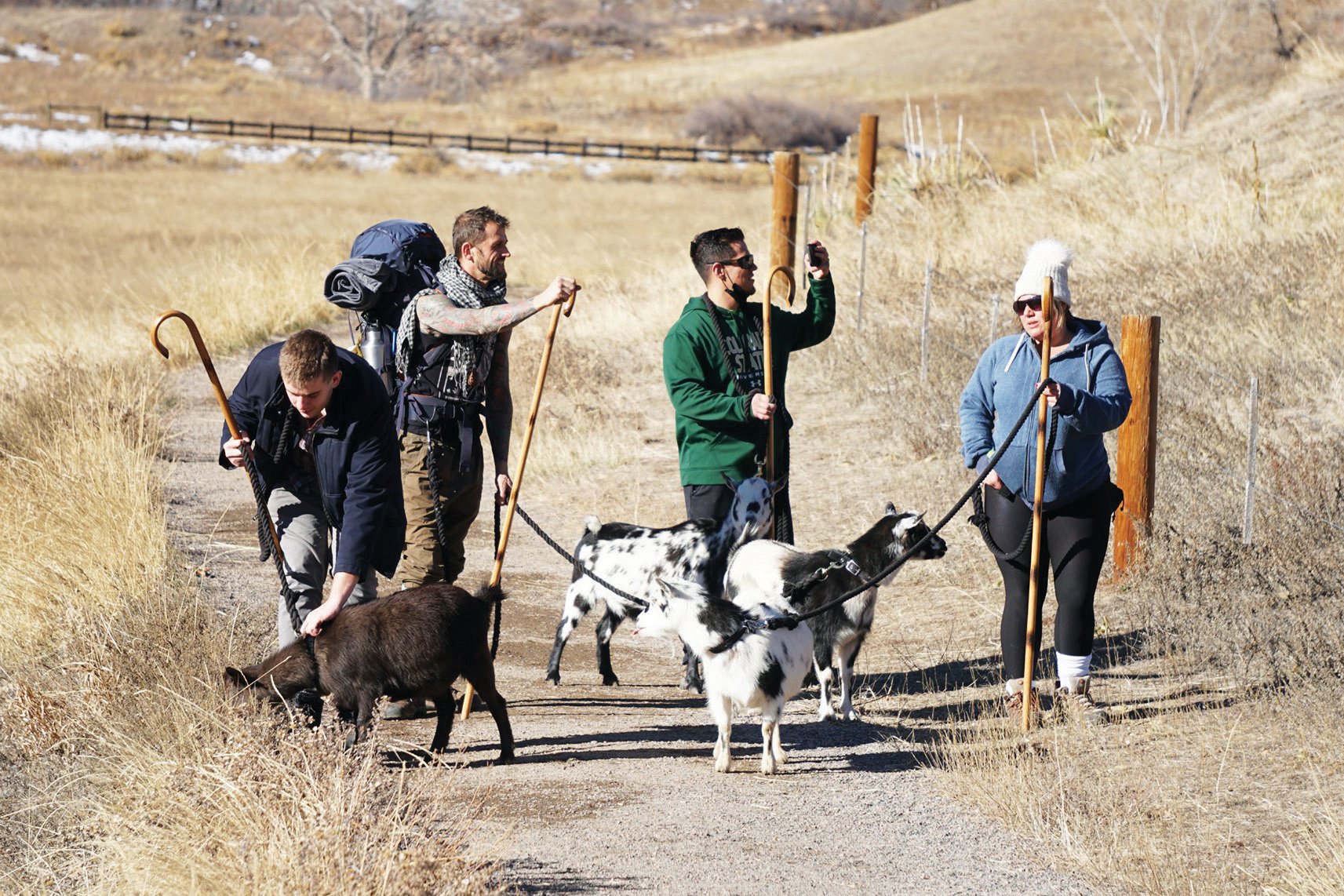 The Healing Power of Goat Walkabouts
