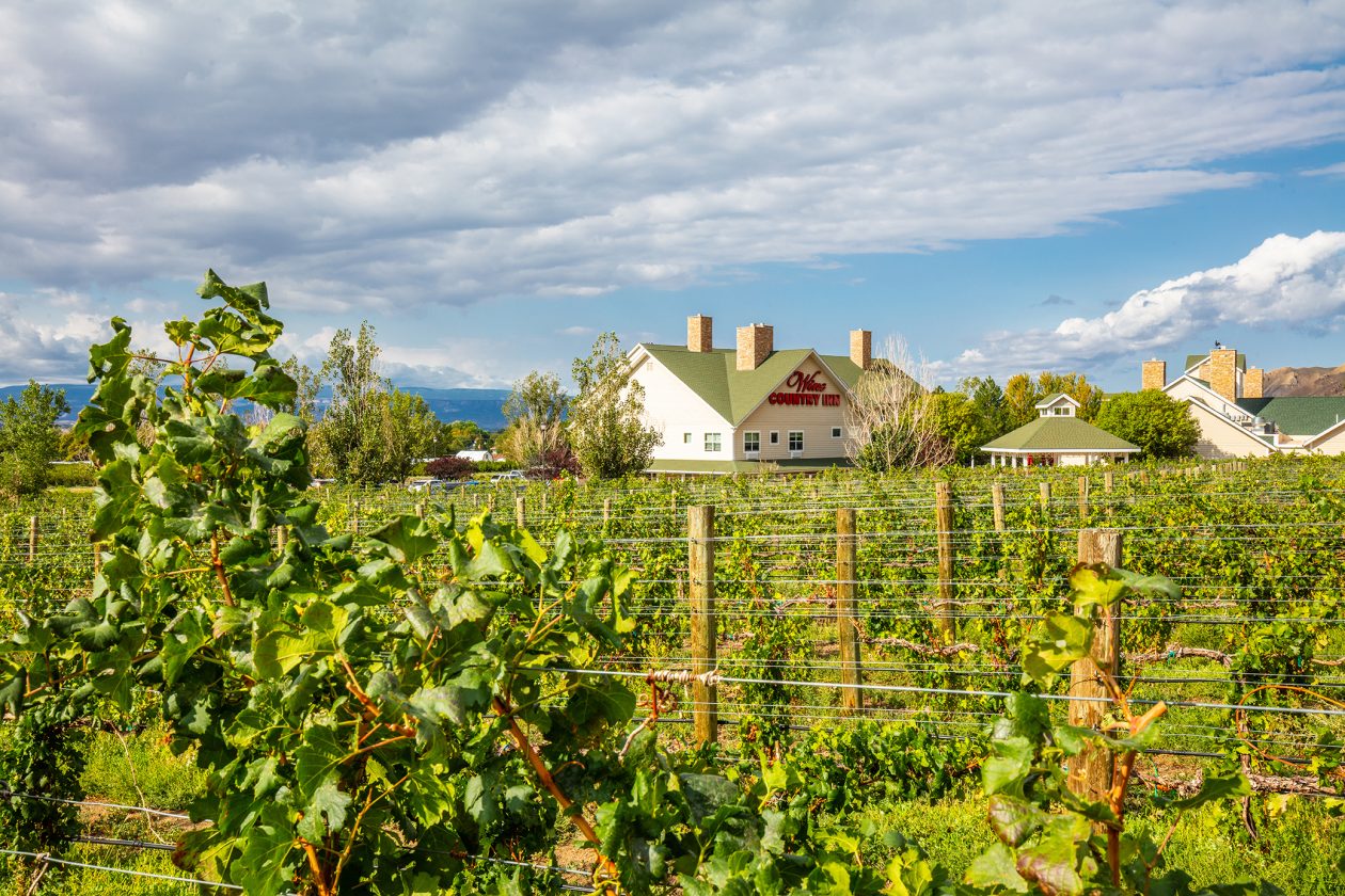 A Weekend in the Colorado Wine Country