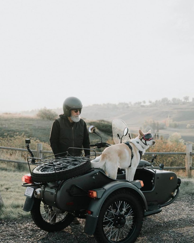 Get a Ural Sidecar for Your Canine Co-pilot