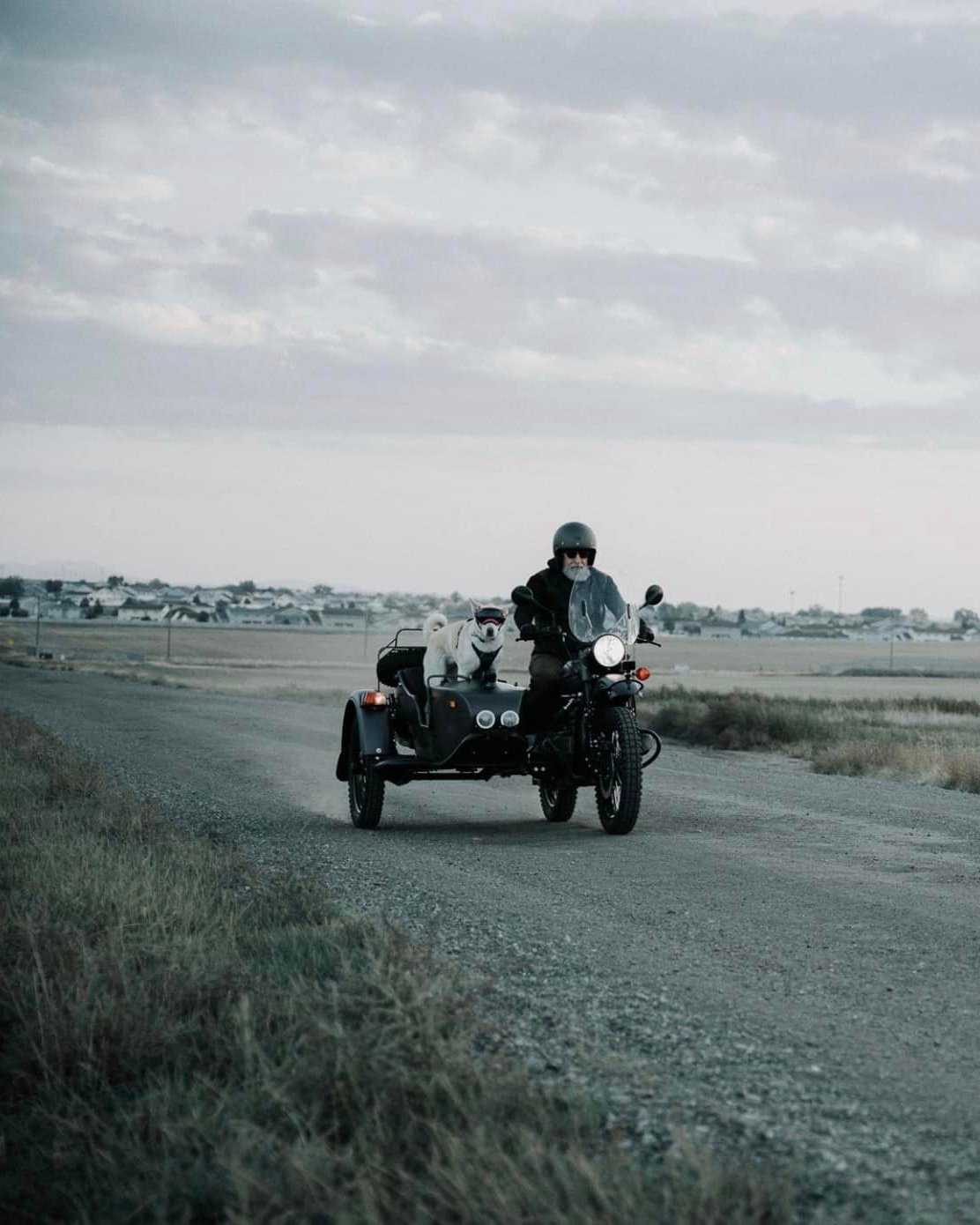 Get a Ural Sidecar for Your Canine Co-pilot