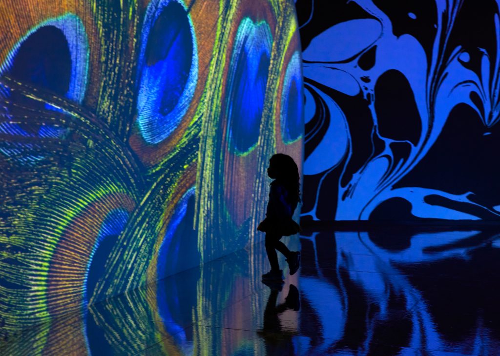 Wild Color Brings Kaleidoscope of Life to Denver Museum of Nature & Science