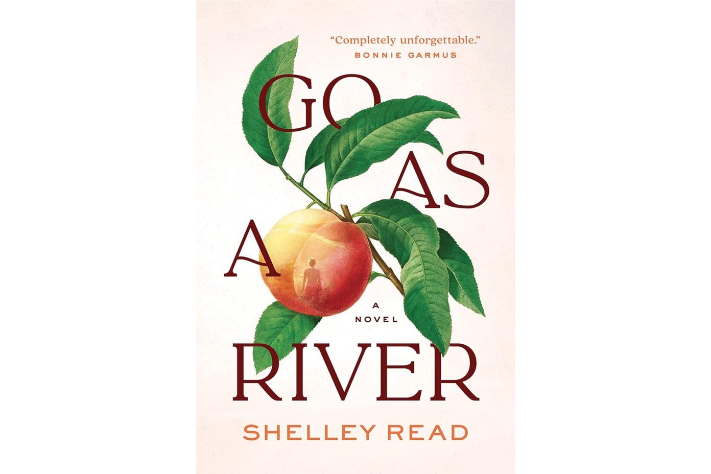 Captivating Books Set in Colorado