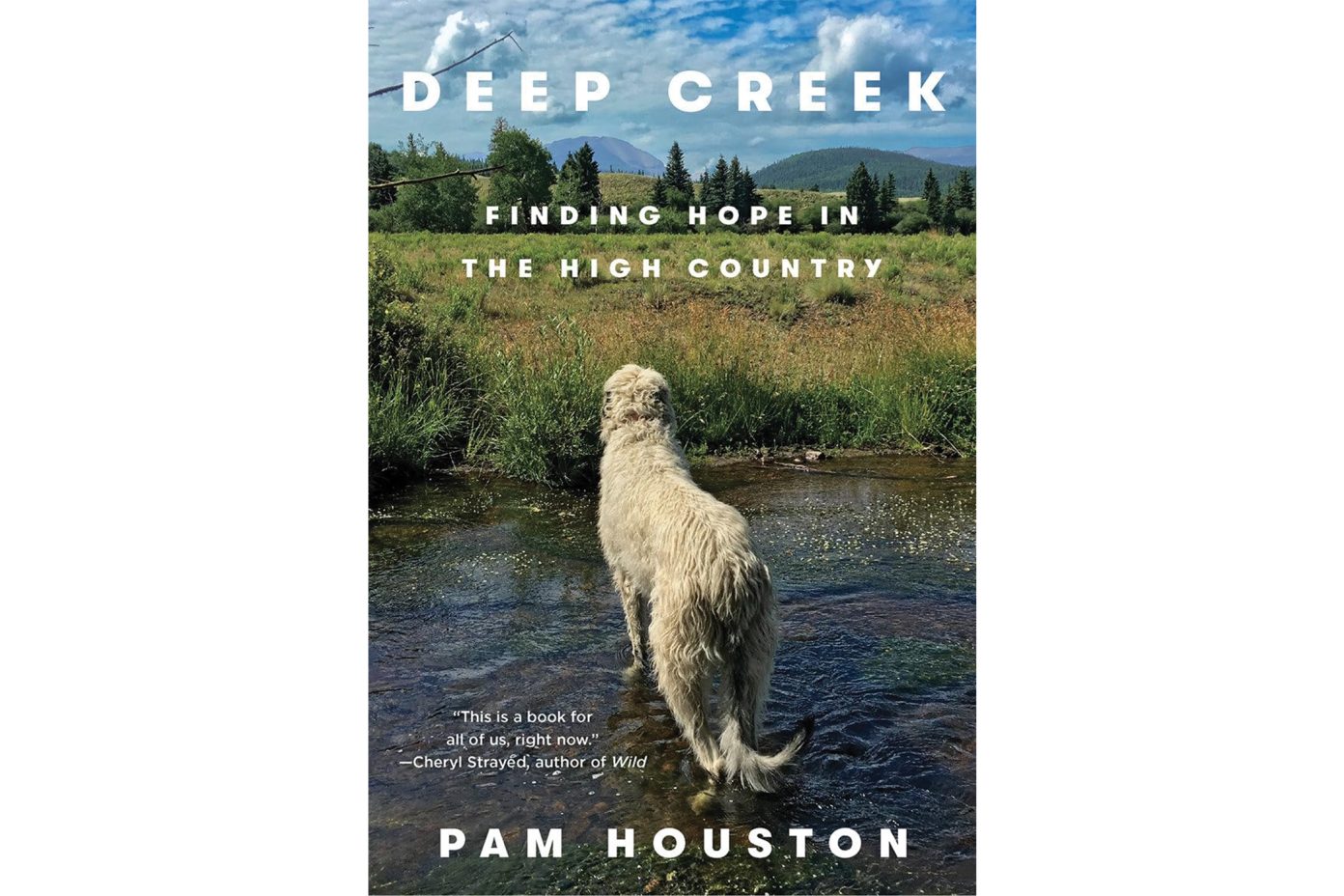 Captivating Books Set in Colorado