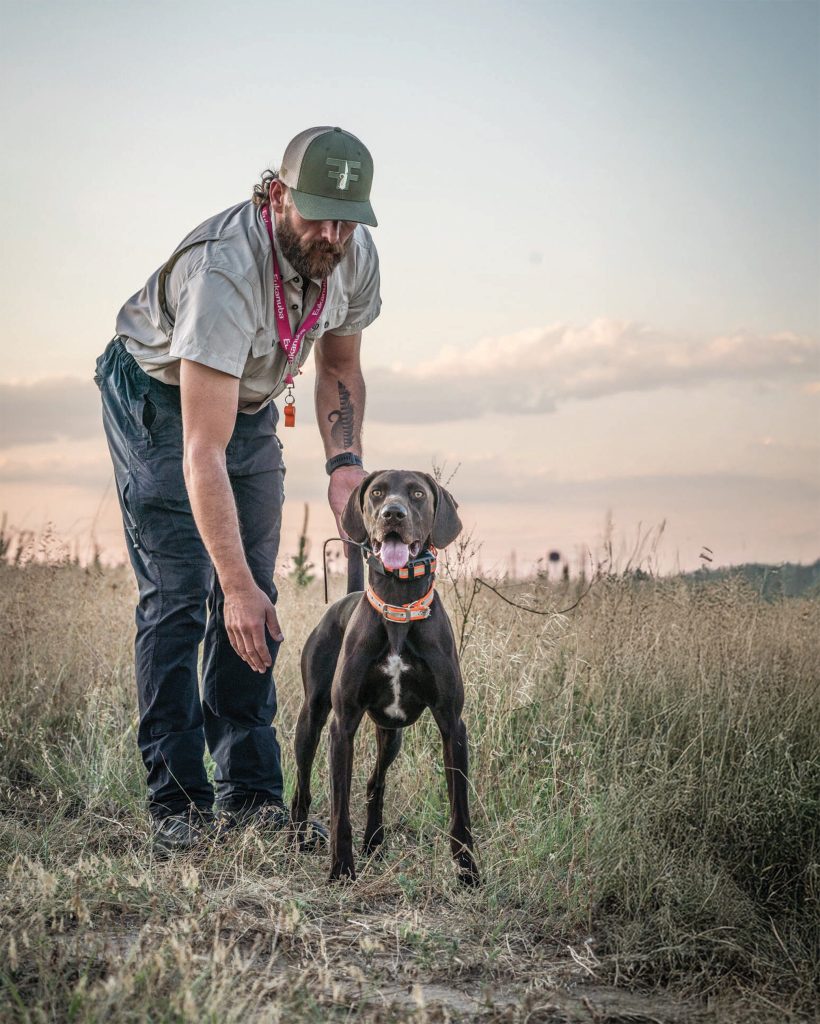 From Pup to Pro: Bird Dog Training at Fetching Feathers