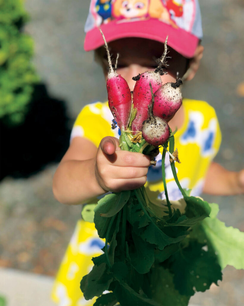 Nonprofits Planting Seeds for a More Connected City